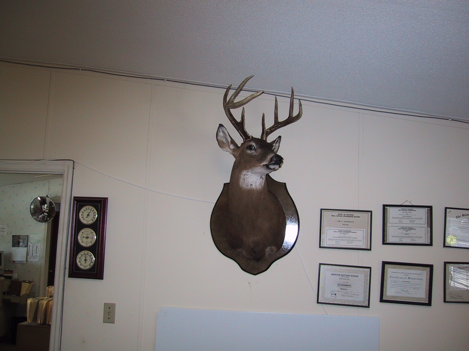 Hunting Trophy case
