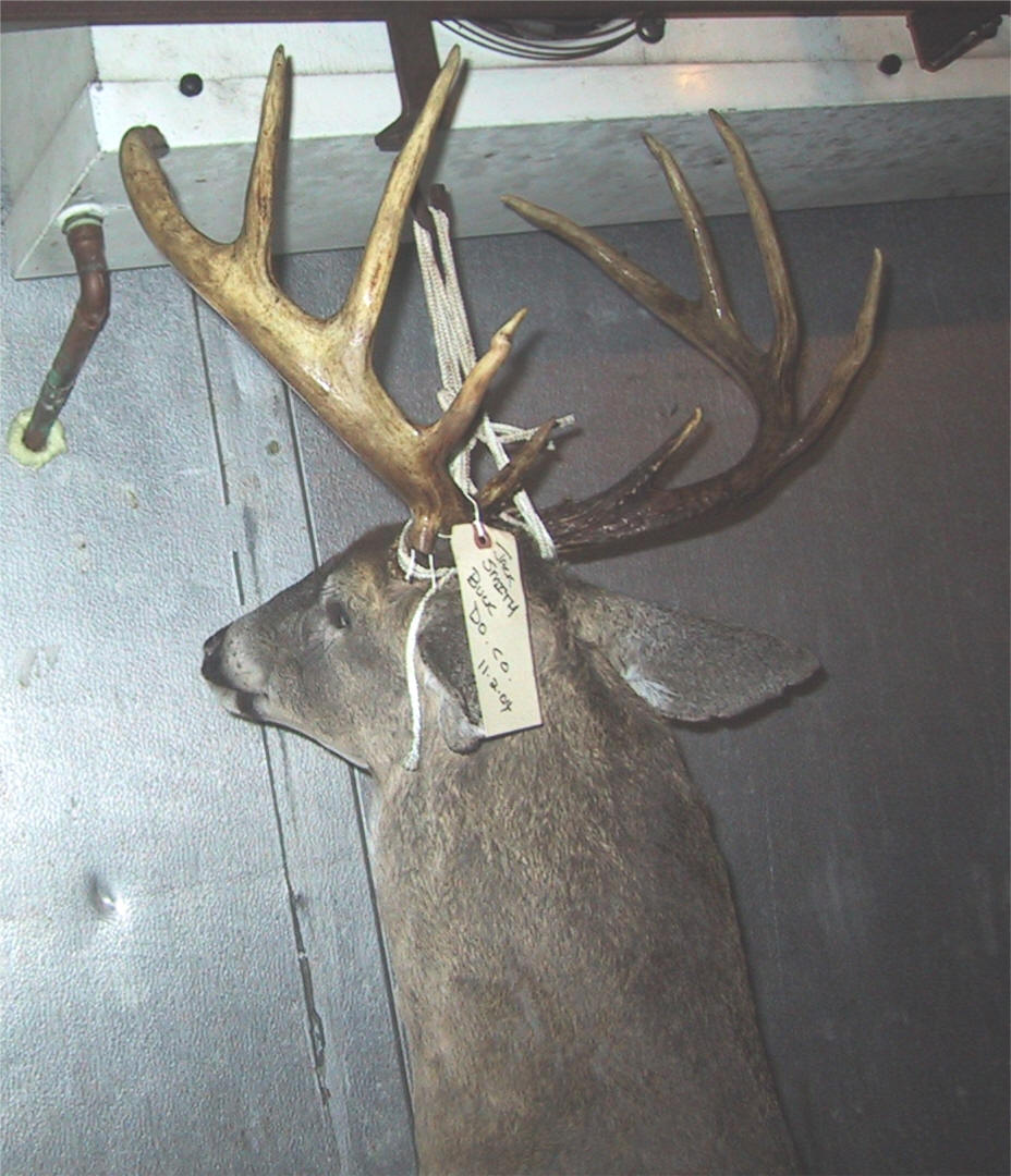Hunting Trophy case